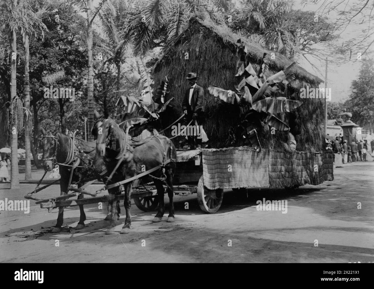 An old Hawaiian dwelling - float in Floral Parade, Honolulu, 1910 Stock ...