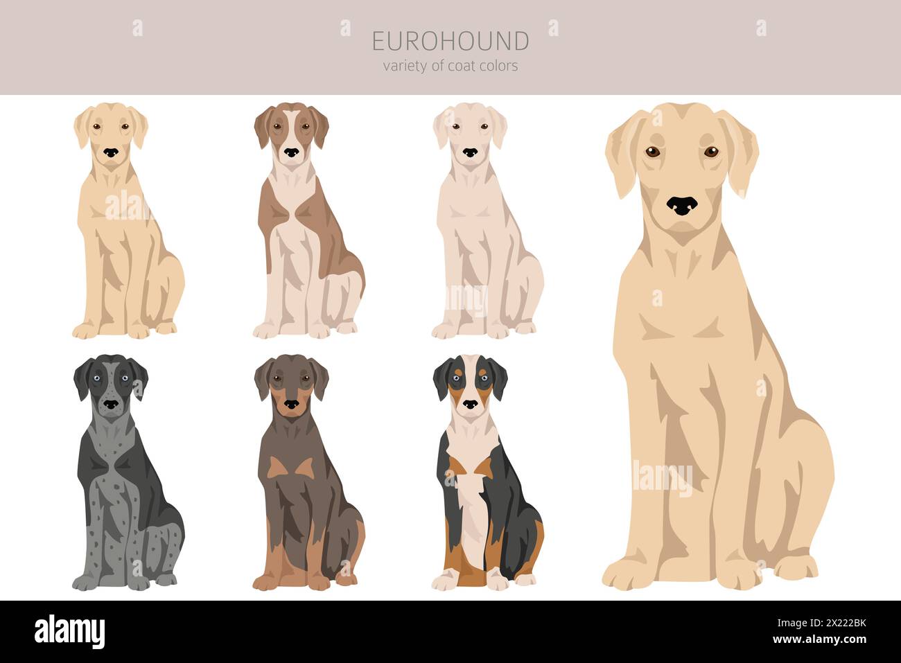 Standingsitting vector vectors hi-res stock photography and images - Alamy