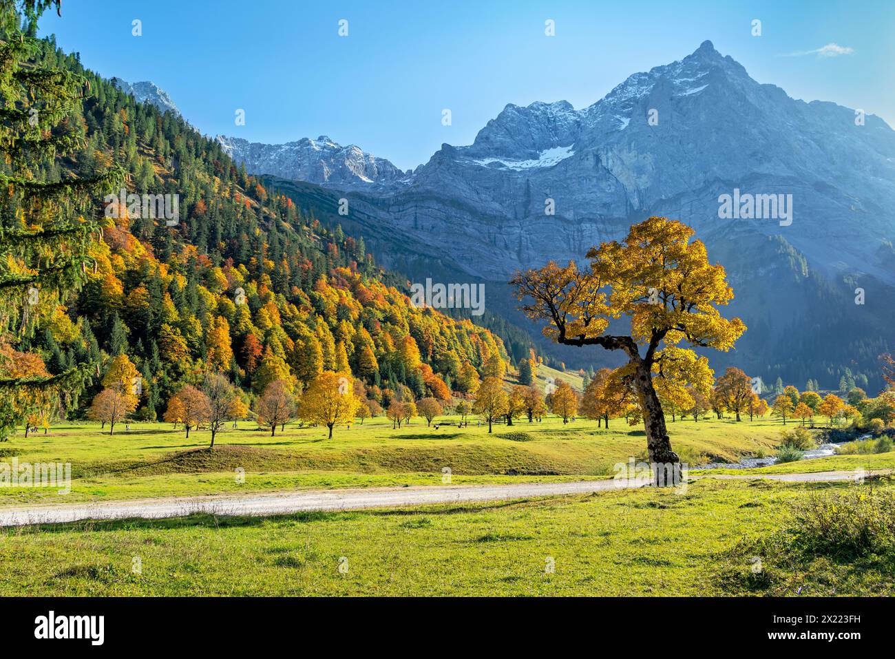 Golden autumn in the Eng, Hinterriß, Karwendel, Tyrol, Austria Stock ...