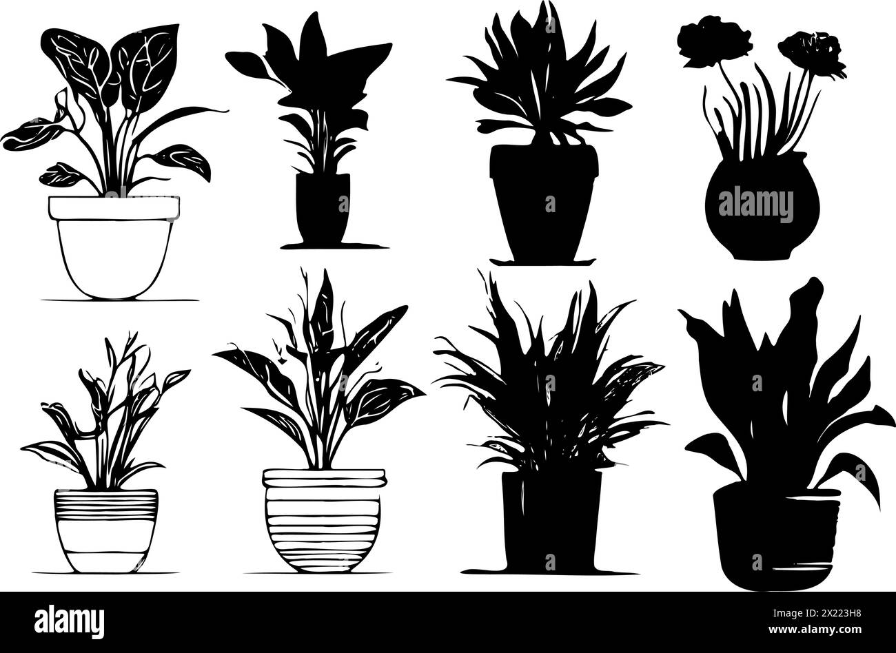Fern leaf types Black and White Stock Photos & Images - Alamy