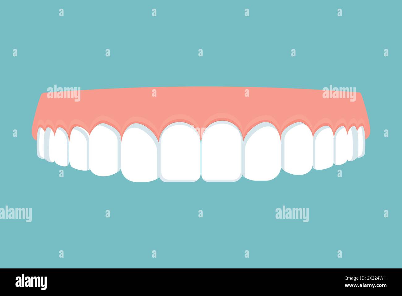 Jaw vector hi-res stock photography and images - Alamy