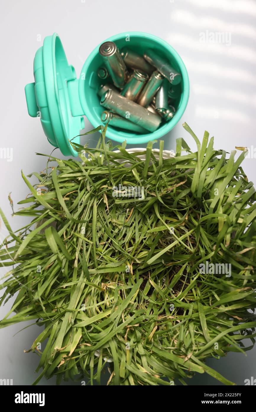 Used finger batteries in a miniature trash can. There is sluggish grass ...