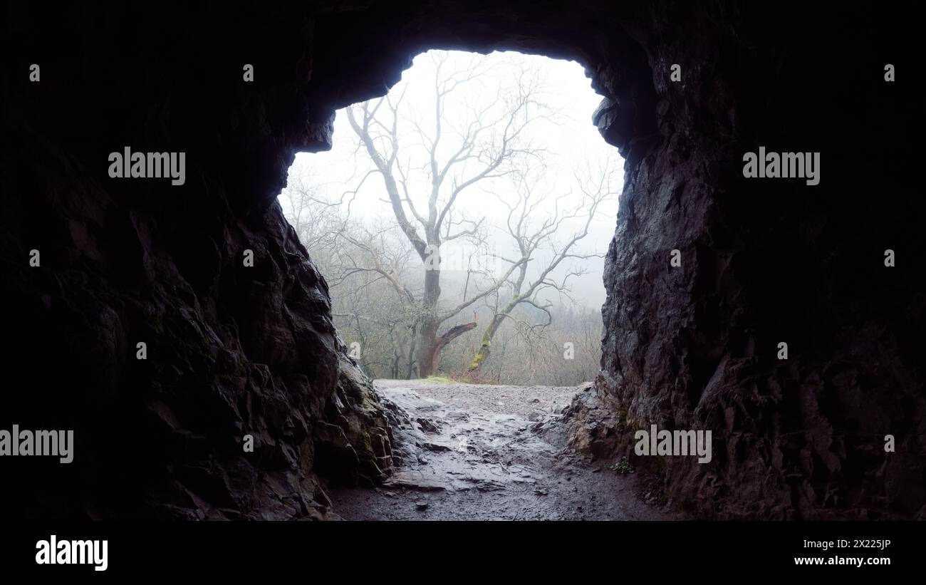 Looking out of a cave entrance on a atmospheric misty day in a forest ...