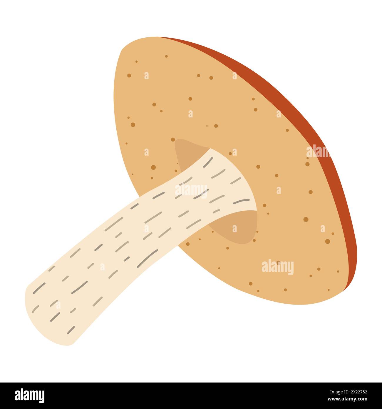 Orange birch bolete mushroom. Leccinum fungi. Edible forest mushrooms ...