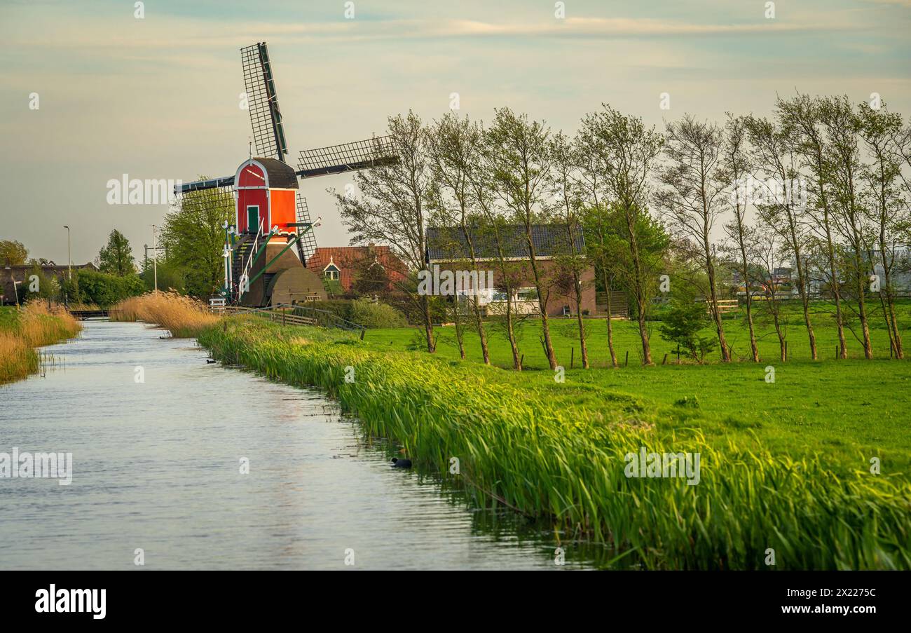 Landscape of Hazerswoude-Dorp, view of the red windmill The Rooie Wip ...
