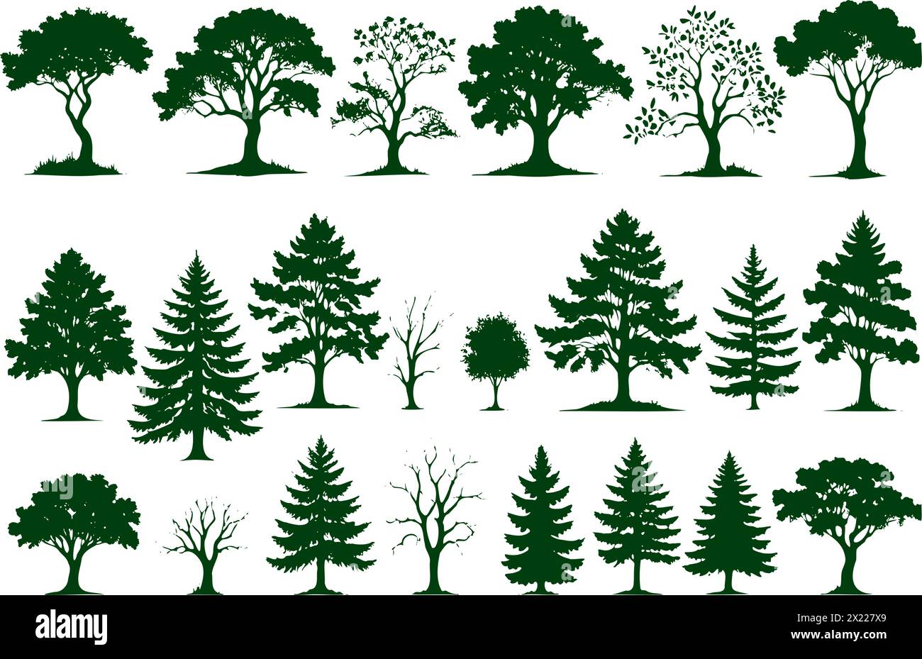 A collection of trees in various sizes and shapes. The trees are all ...