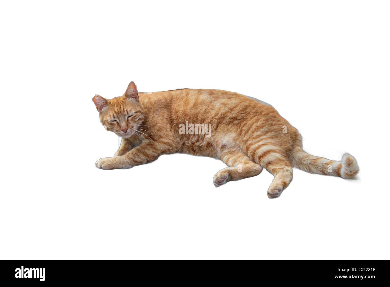 Non chalant Cut Out Stock Images & Pictures - Alamy