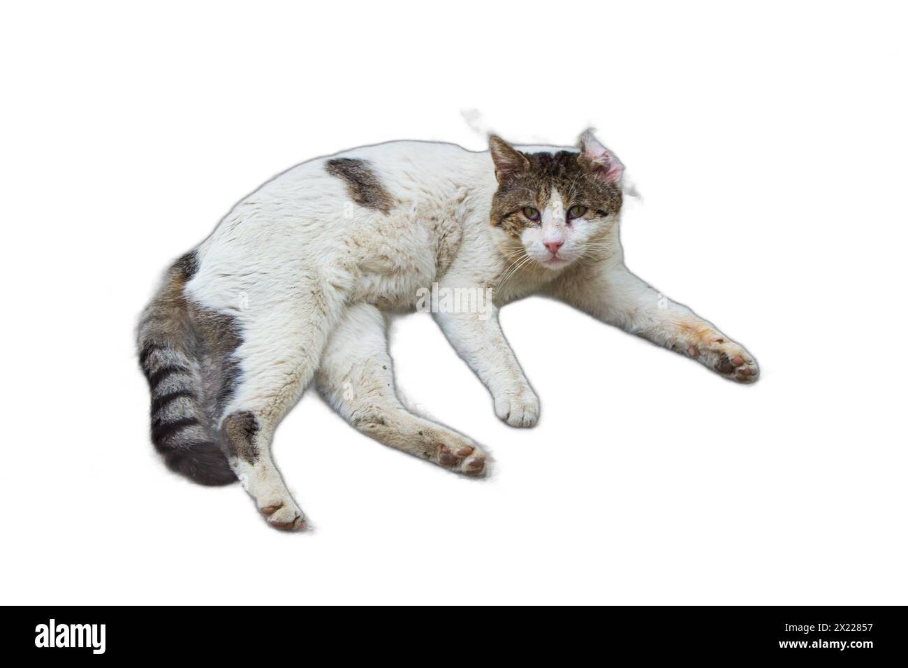 Nap visual Cut Out Stock Images & Pictures - Alamy