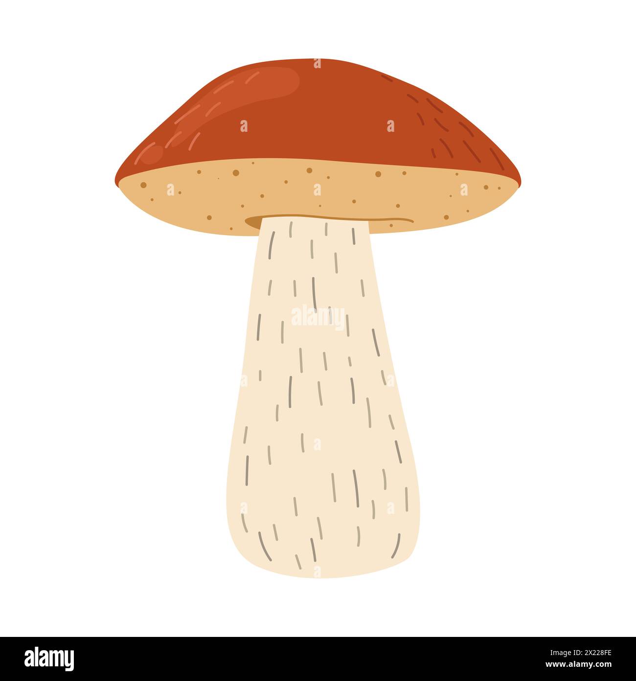 Orange birch bolete mushroom. Leccinum fungi. Edible forest mushrooms ...