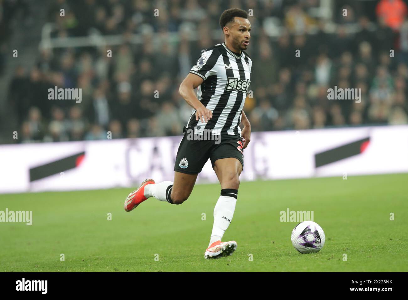 Jacob Murphy of Newcastle - Newcastle United v Everton, Premier League ...