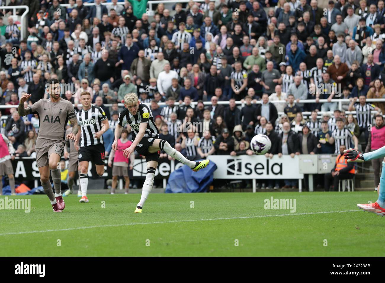 Anthony Gordon of Newcastle scores 2-0 - Newcastle United v Tottenham ...