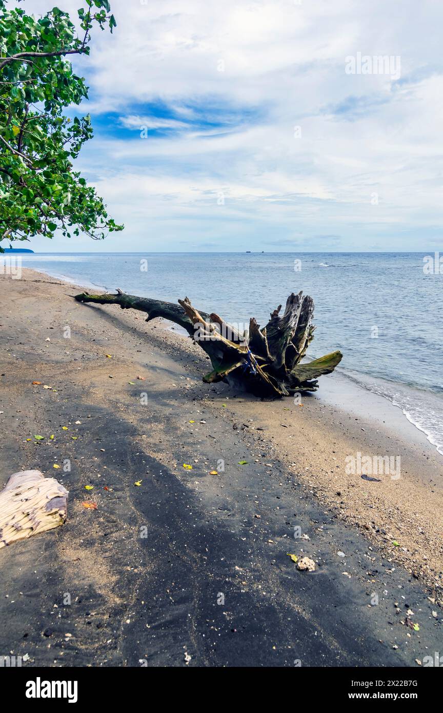 Rabaul is a city in Papua New Guinea. It was the capital of the ...