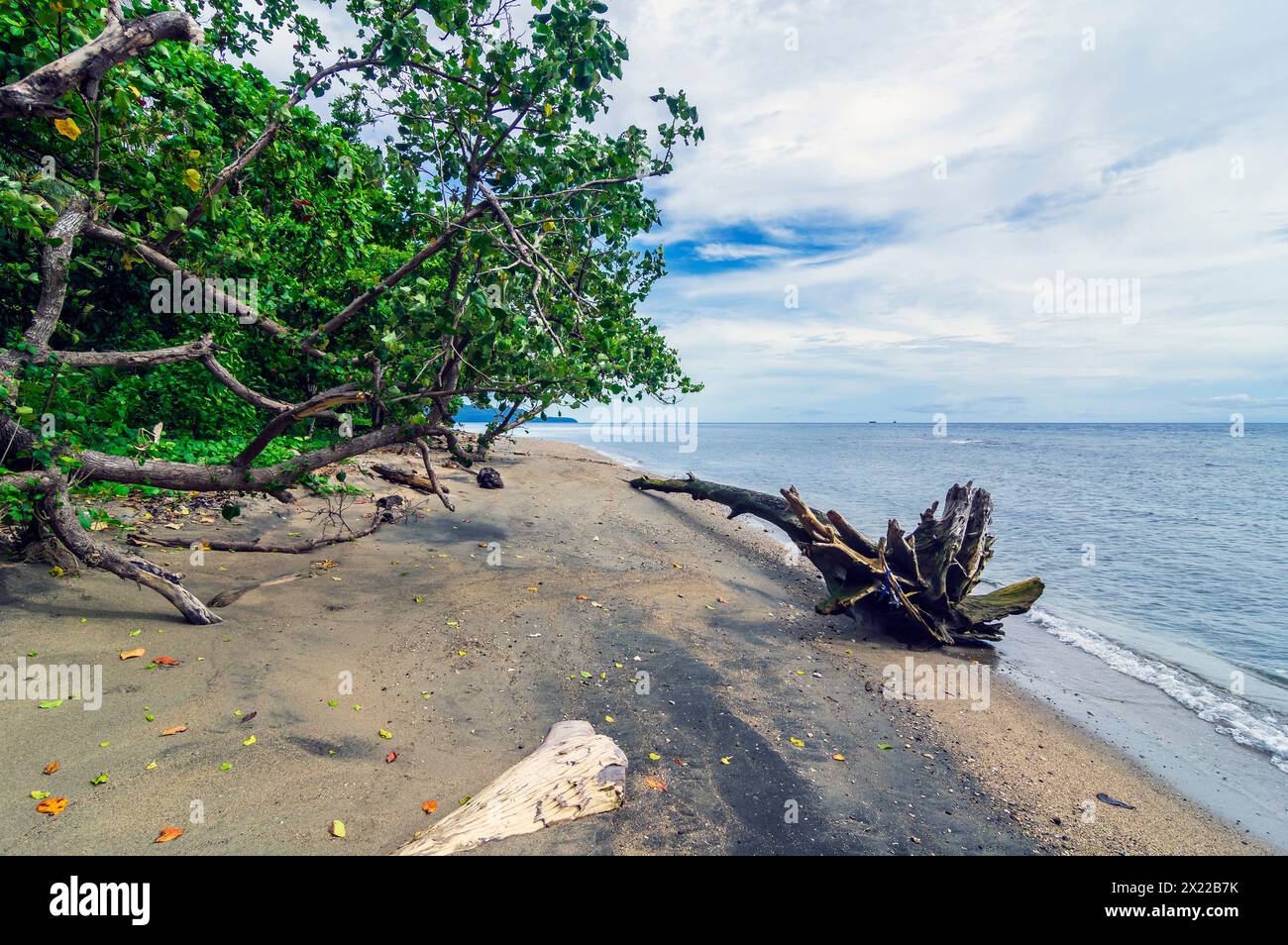 Rabaul is a city in Papua New Guinea. It was the capital of the ...