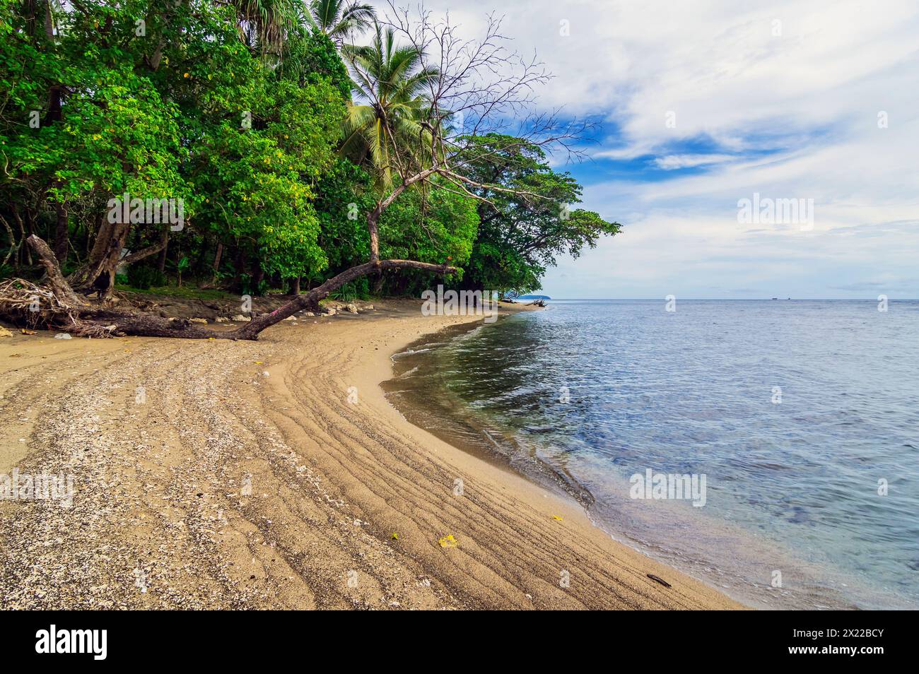Rabaul is a city in Papua New Guinea. It was the capital of the ...