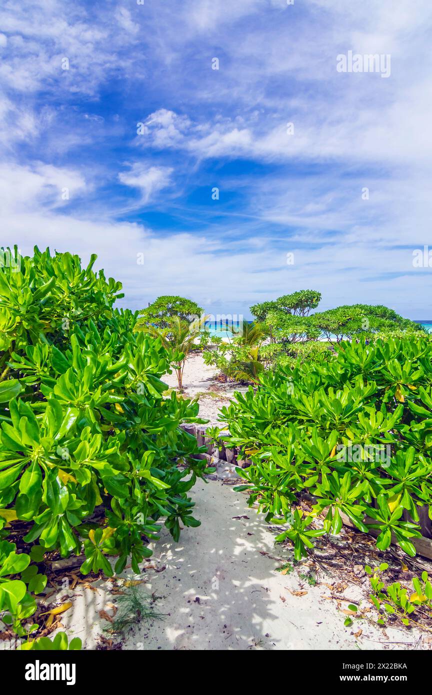 The Conflict Islands (also Conflict Atoll) an atoll in the Solomon Sea ...