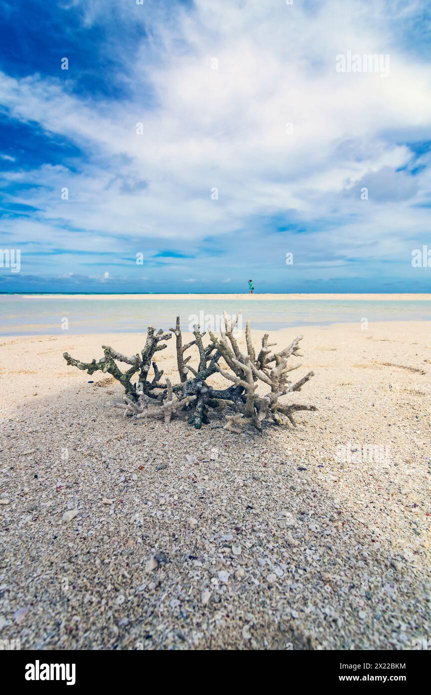 The Conflict Islands (also Conflict Atoll) an atoll in the Solomon Sea ...