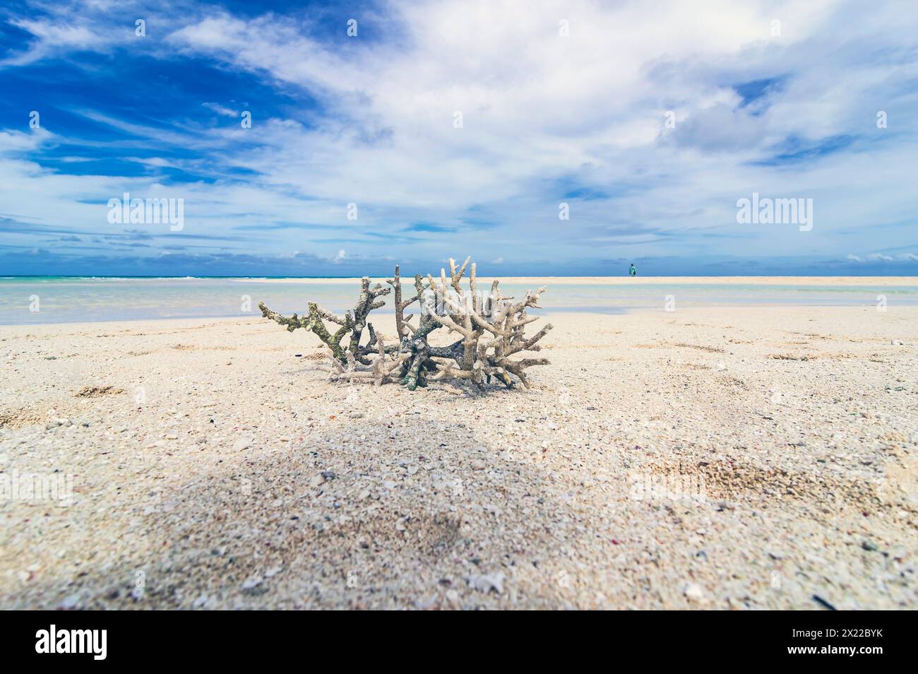 The Conflict Islands (also Conflict Atoll) an atoll in the Solomon Sea ...