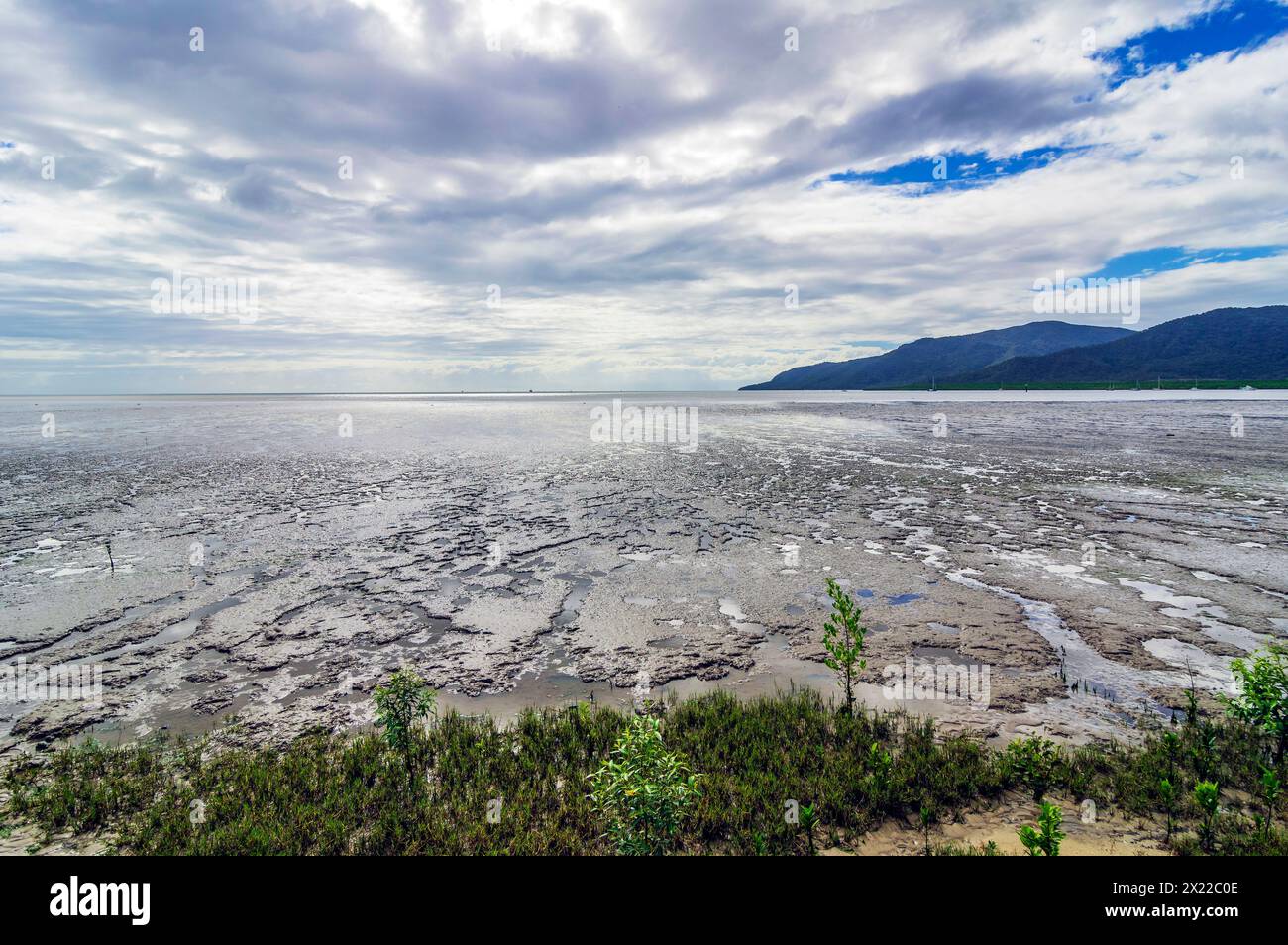 Views of the city of Cairns in the tropical north of the Australian ...
