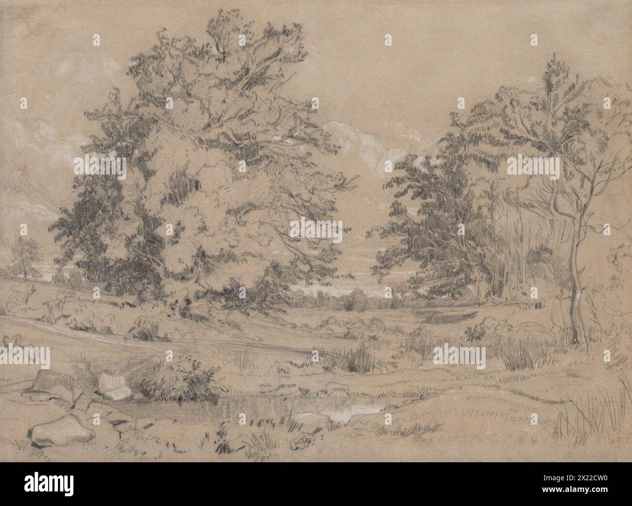 Barbizon forest view hi-res stock photography and images - Alamy