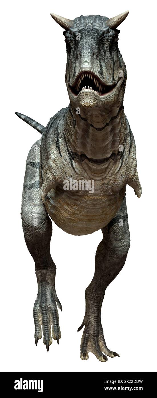 3D rendering of a Carnotaurus Sastrei dinosaur or flesh eating bull ...