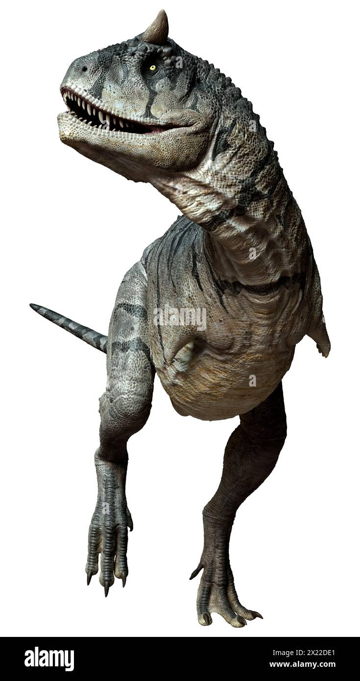 Carnotaurus dinosaur white background hi-res stock photography and ...