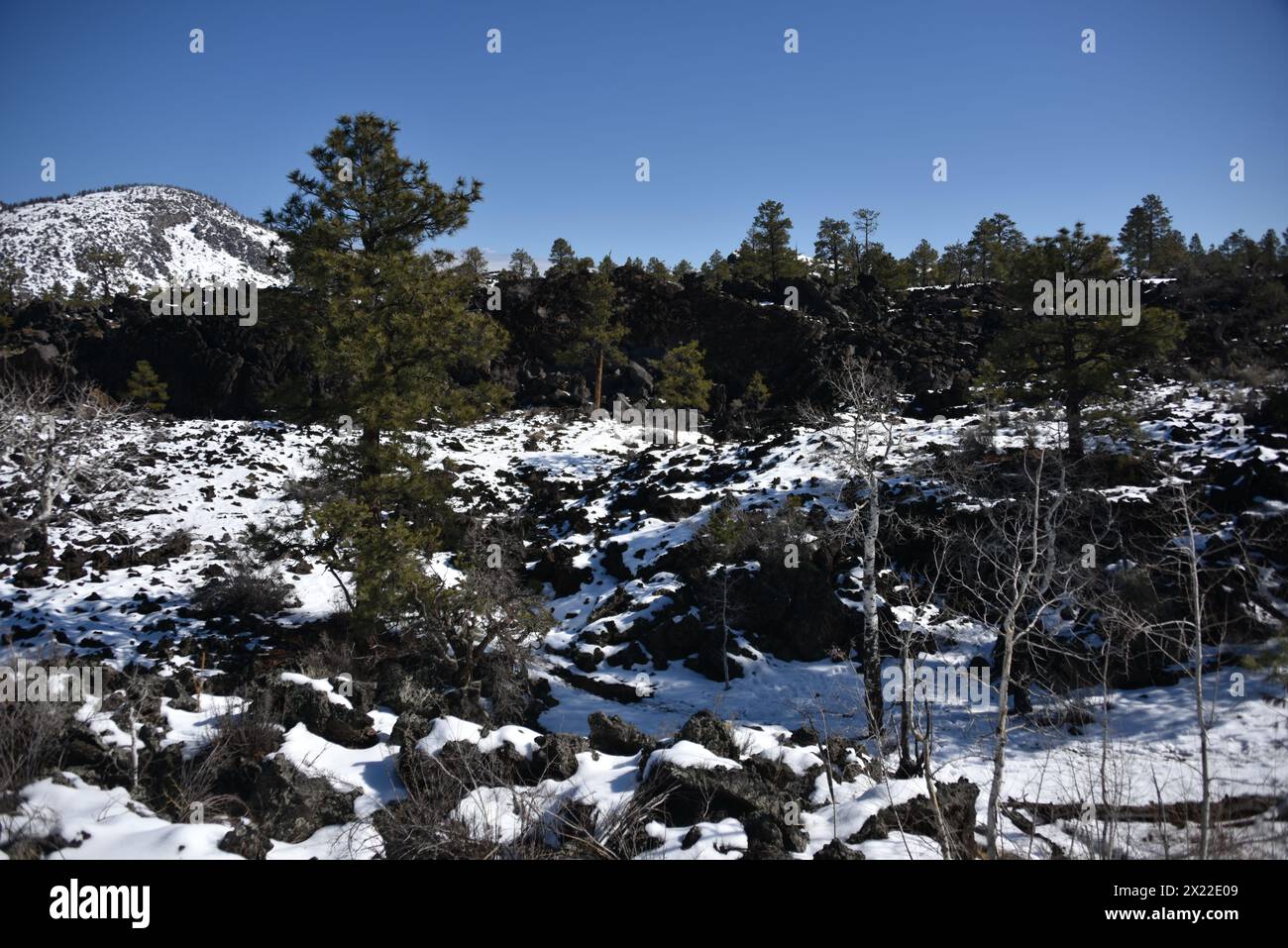 Flagstaff, AZ. U.S.A. 3/20/2024. Sunset Crater Volcano National ...