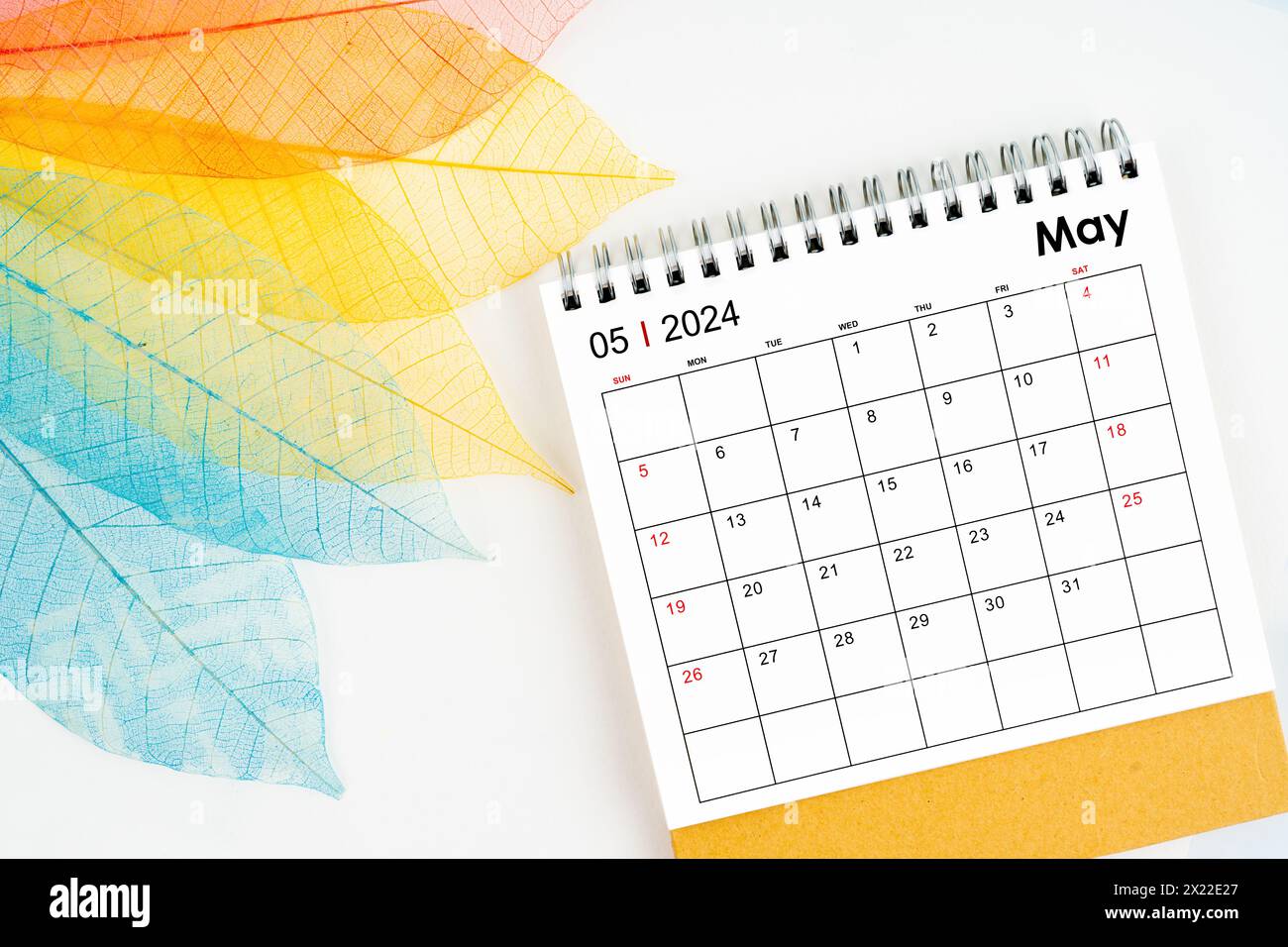 May 2024 monthly desk calendar and fiber structure of dry leaves ...