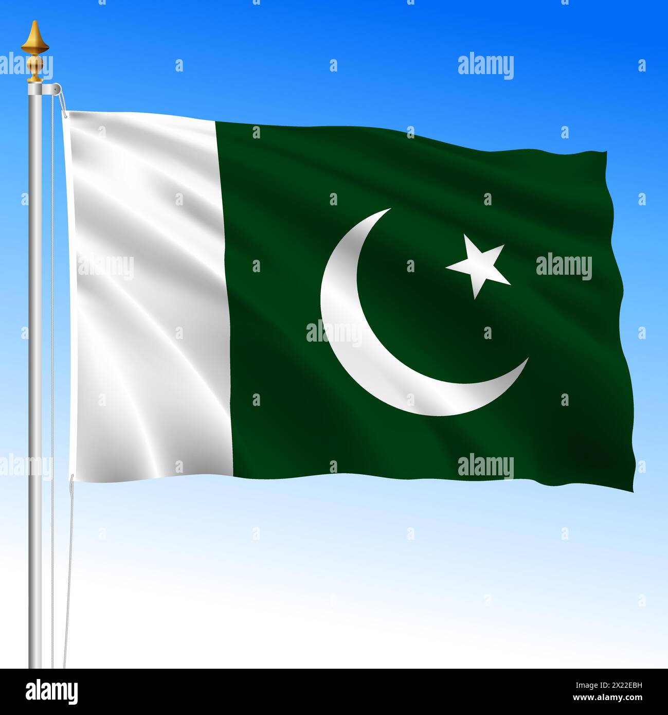 Pakistan Official National Waving Flag Asiatic Country Vector