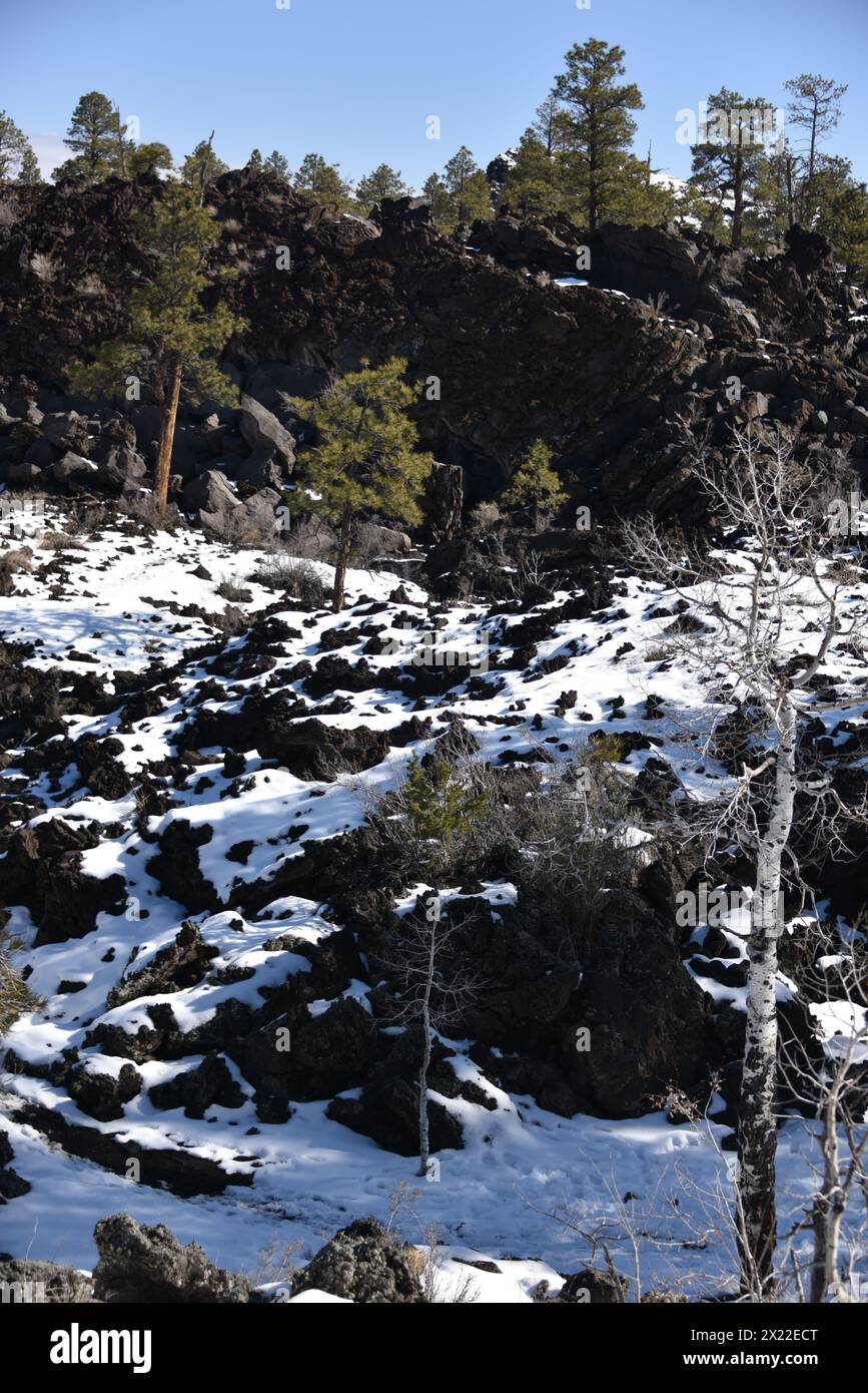 Flagstaff, AZ. U.S.A. 3/20/2024. Sunset Crater Volcano National ...