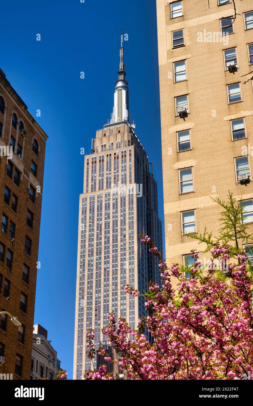 The Empire State building visible from a cherry tree lined Park Avenue ...