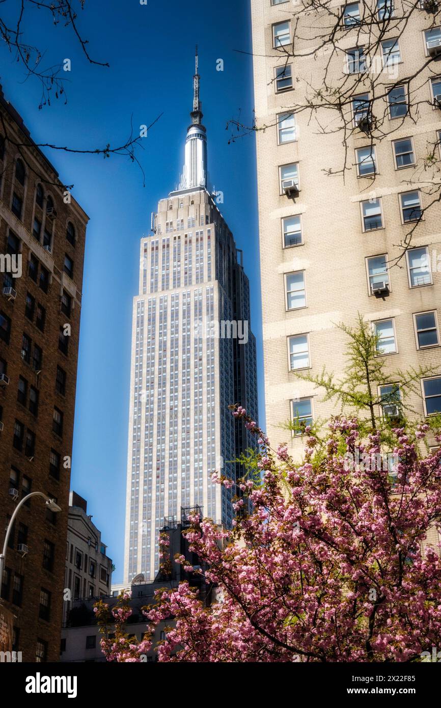 The Empire State building visible from a cherry tree lined Park Avenue ...