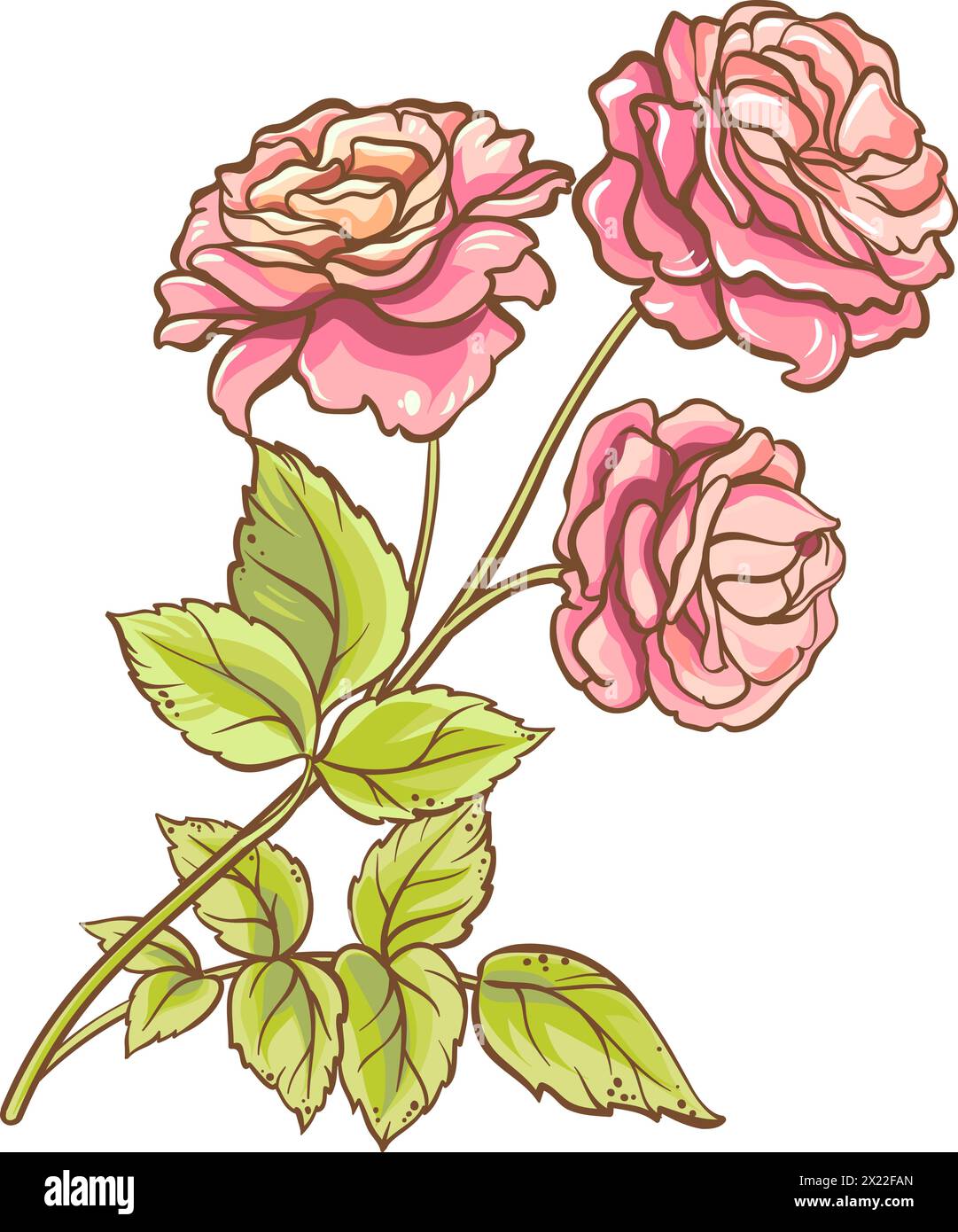 Rose Branch Colored Detailed Illustration Stock Vector Image & Art - Alamy