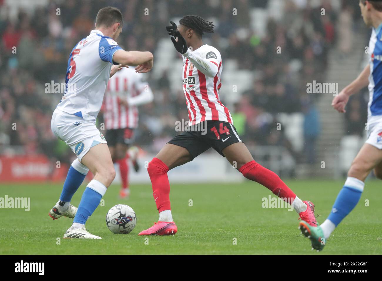 Dominic hyam 2023 hi-res stock photography and images - Alamy
