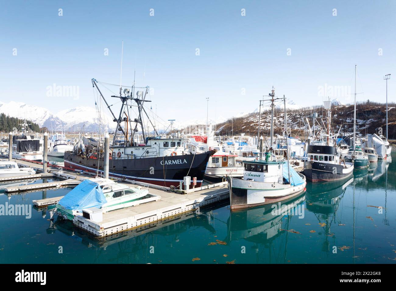 Alaskas wildlife hi-res stock photography and images - Alamy