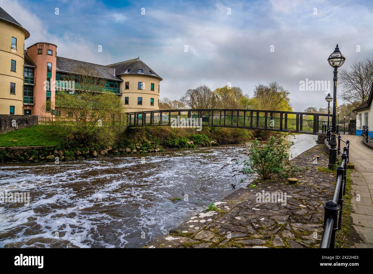 A view along the banks of the River Cleddau beside the weir in ...