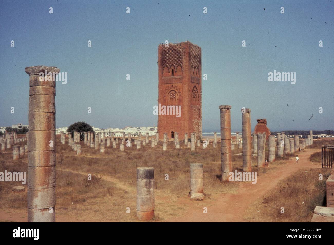 The Hassan tower (Tour Hassan) with broken stump columns of the mosque ...
