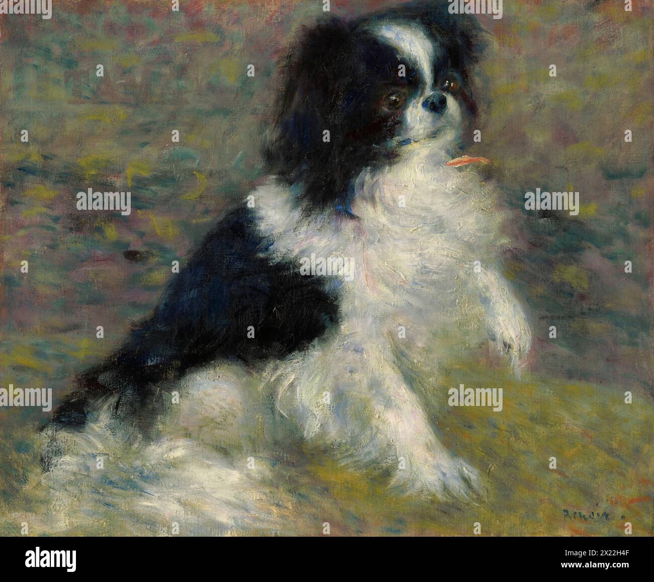 Tama, The Japanese Dog, c1876. Renoir painted this image of a Japanese ...