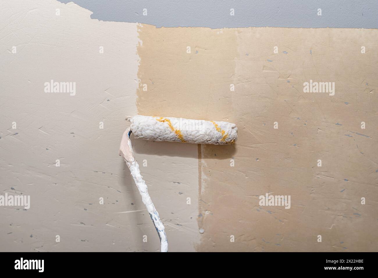 Preparing damaged and holes in walls for painting, scratched by dog ...