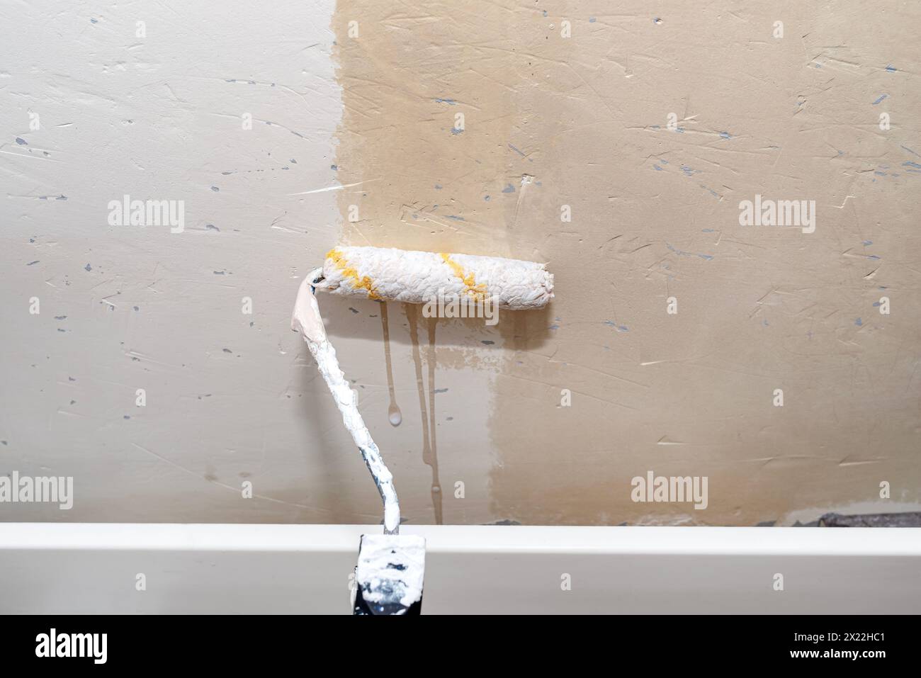 Preparing damaged and holes in walls for painting, scratched by dog ...