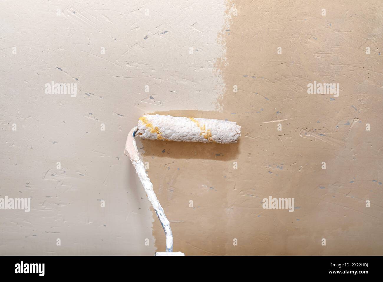 Preparing damaged and holes in walls for painting, scratched by dog ...