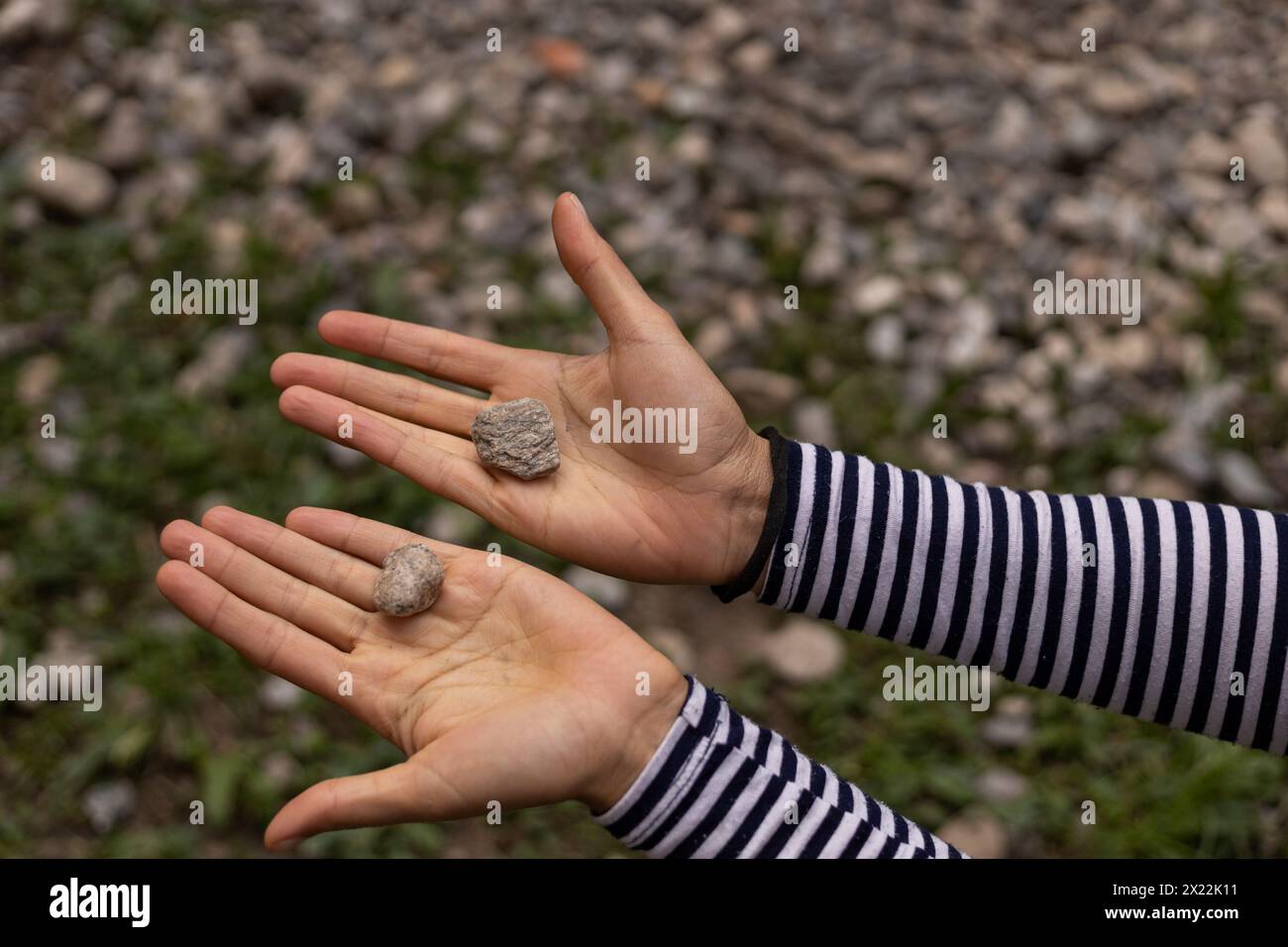 Outstretched palms of woman's hands showing two gray stones. Concept ...