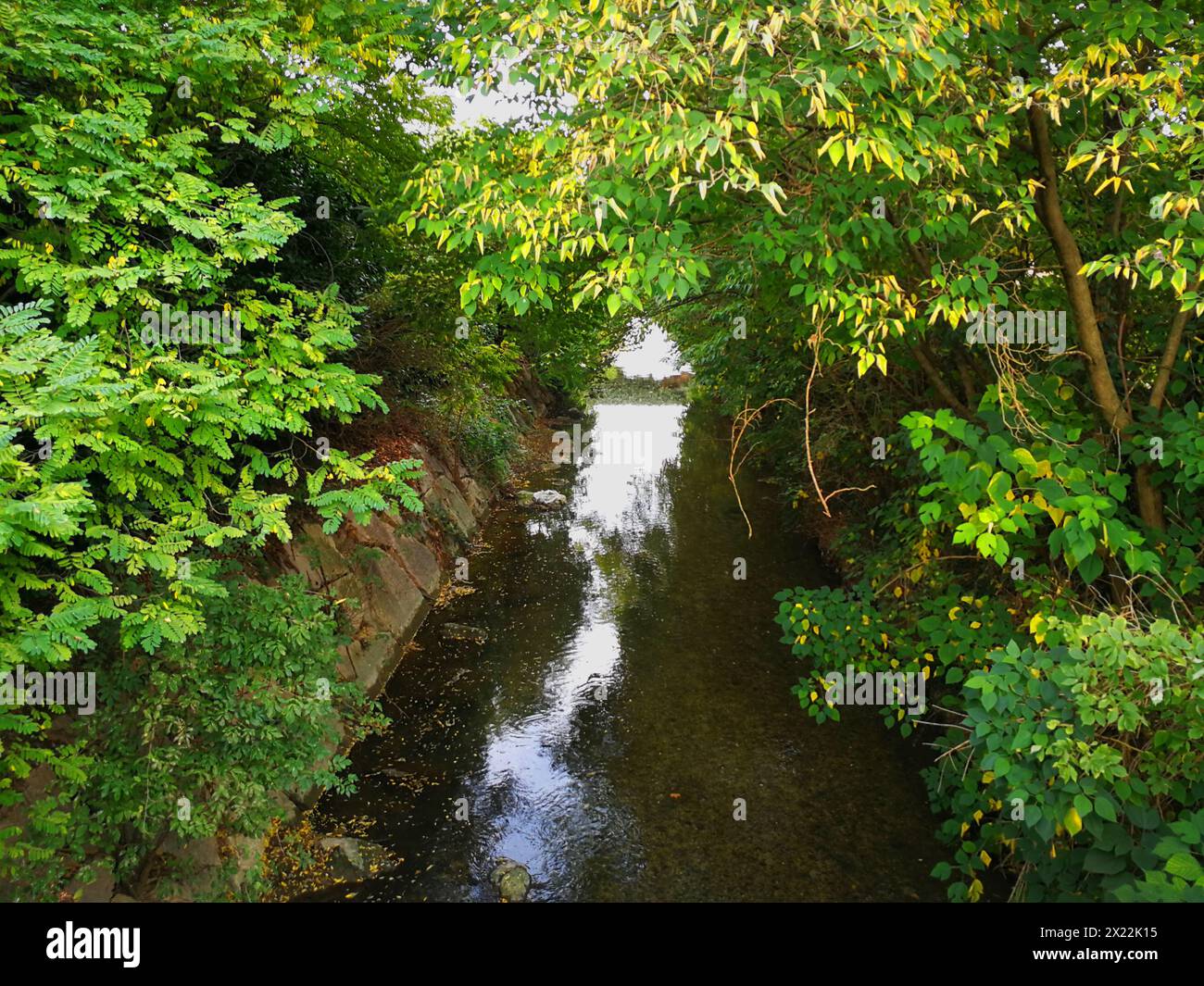 Muson natural park hi-res stock photography and images - Alamy