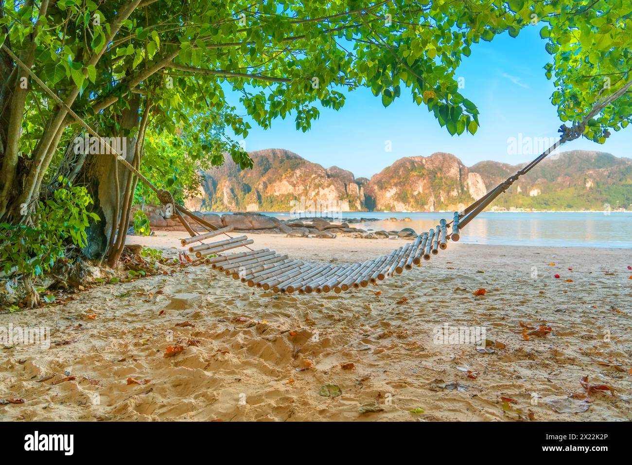 Romantic empty cozy bamboo hammock in the shadow of the trees jungle ...