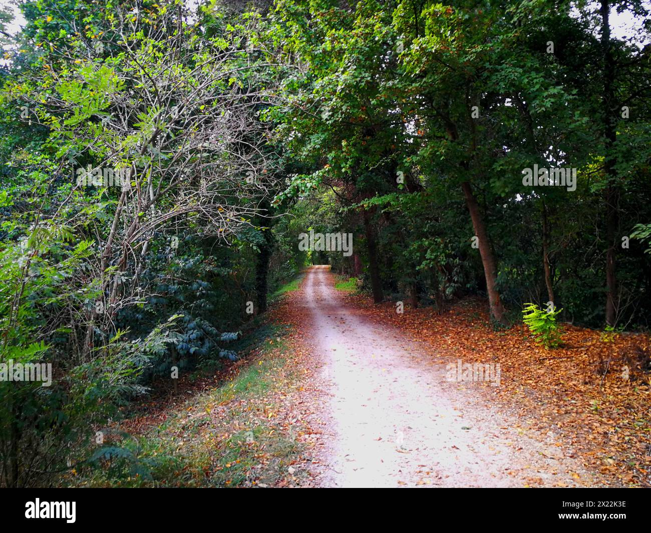 Castello di godego hi-res stock photography and images - Alamy