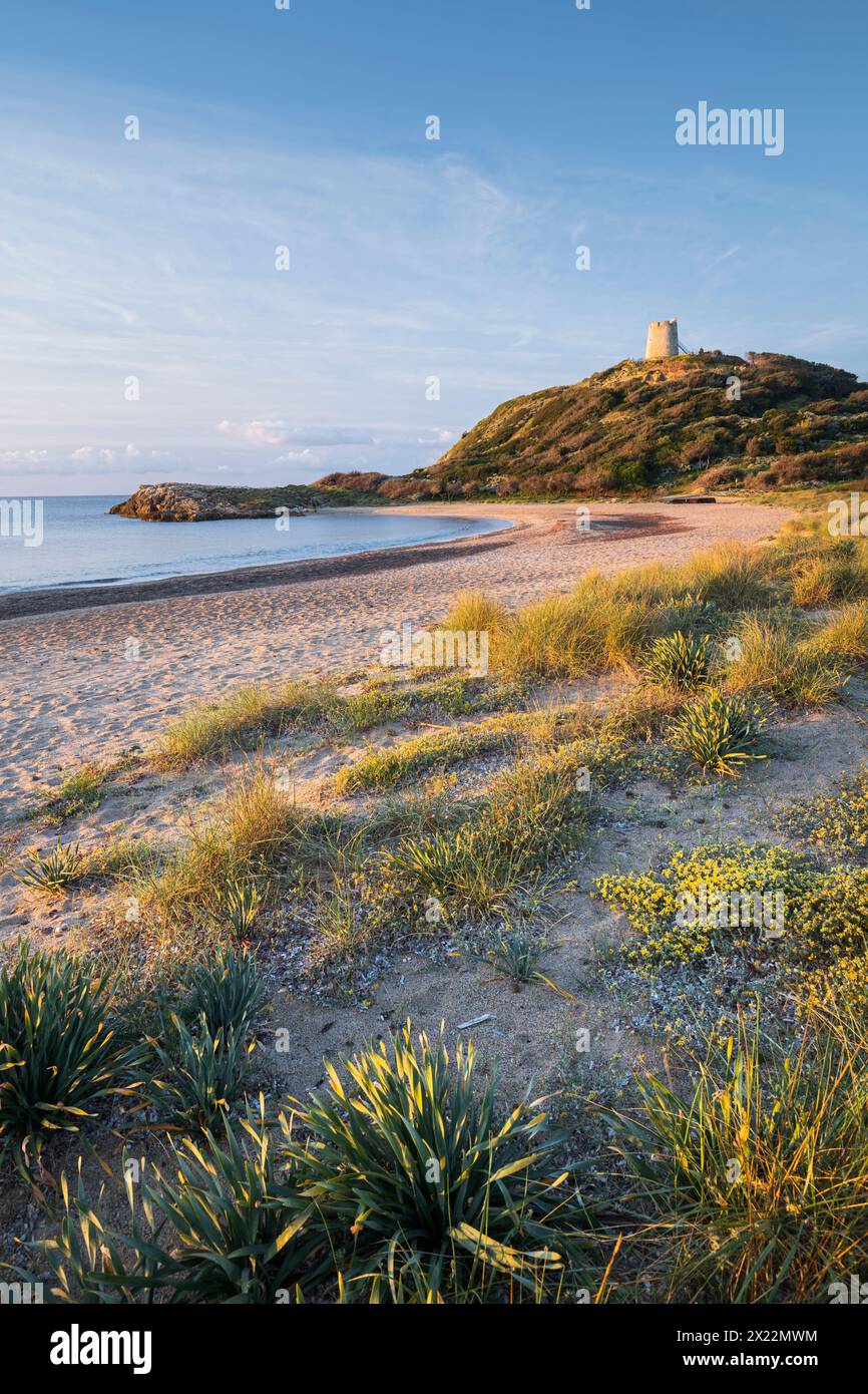 Torre di Chia, Spiaggia di Su Portu, Sardinia, Italy Stock Photo - Alamy
