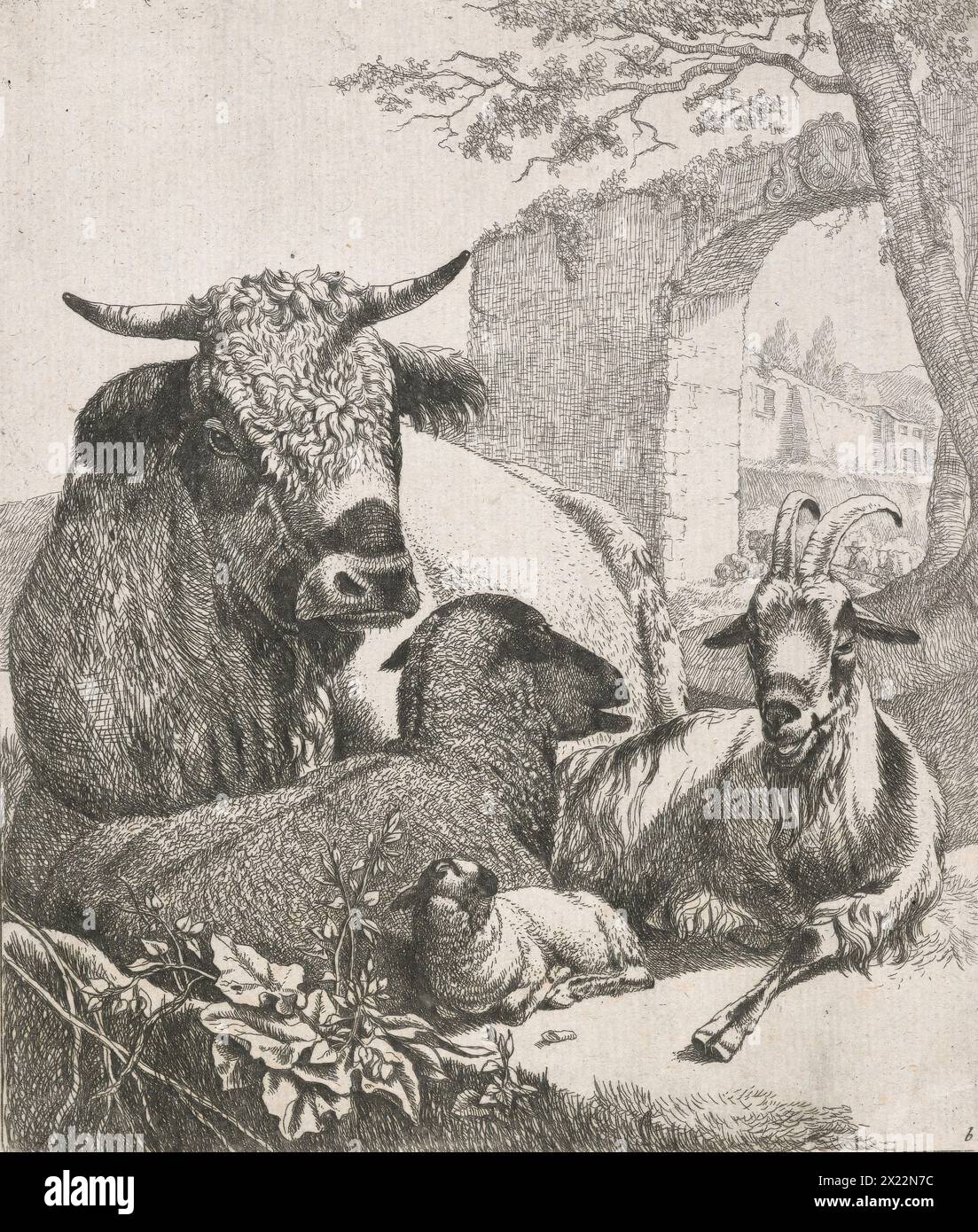 Sheep, goats and cows series: Recumbent bull, 1668-1670 Stock Photo - Alamy