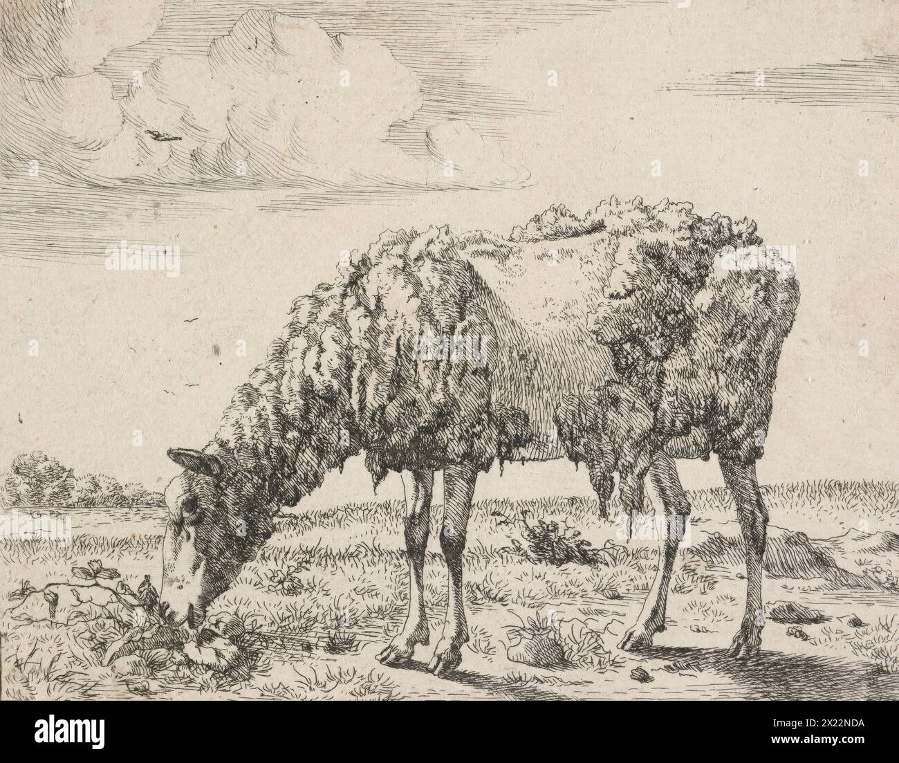 Marcus de bije hi-res stock photography and images - Alamy