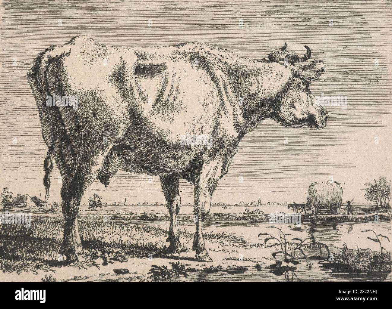 Farmer seen in distance standing hi-res stock photography and images ...