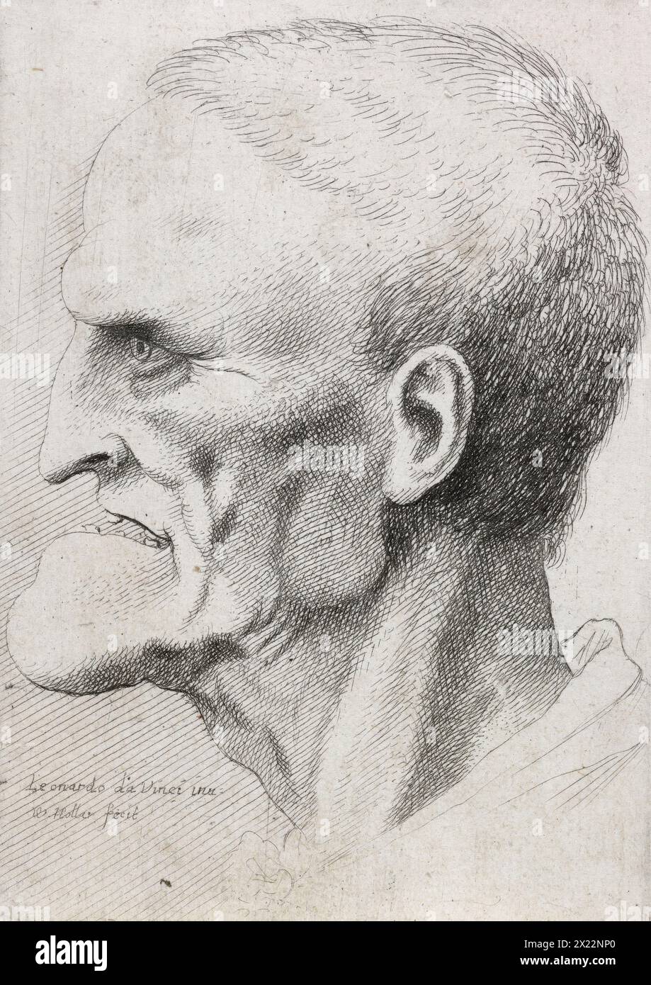 Caricatures and deformities after Leonardo. The old man with gaps ...