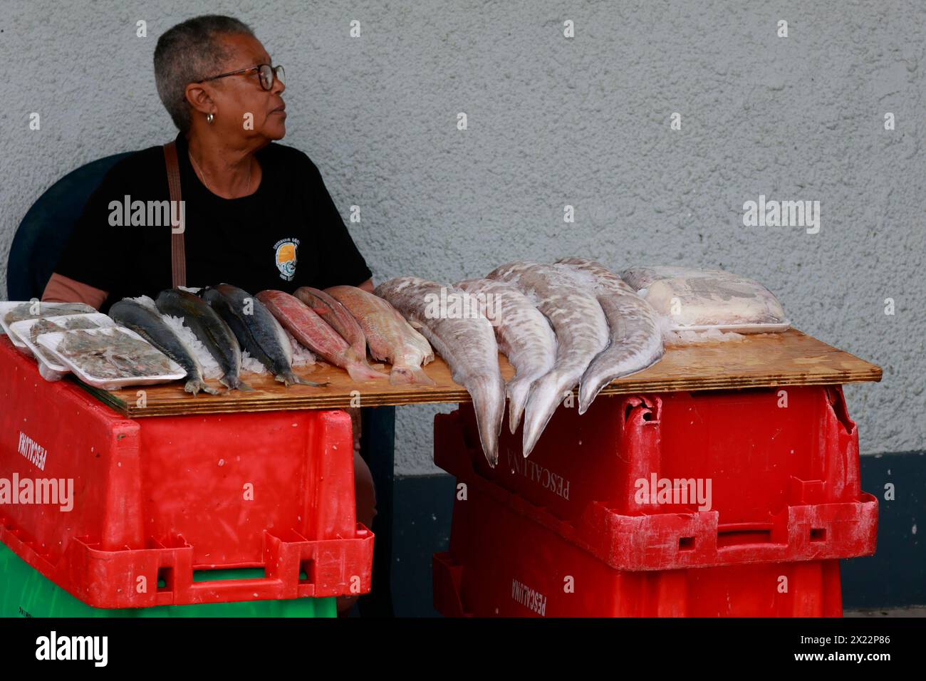 Fish market cape town south hi-res stock photography and images - Alamy